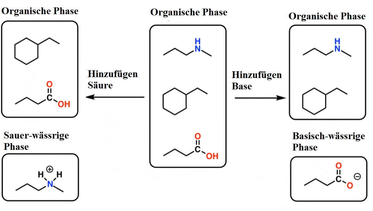 Säure-Base-Extraktion :: Cta-altona